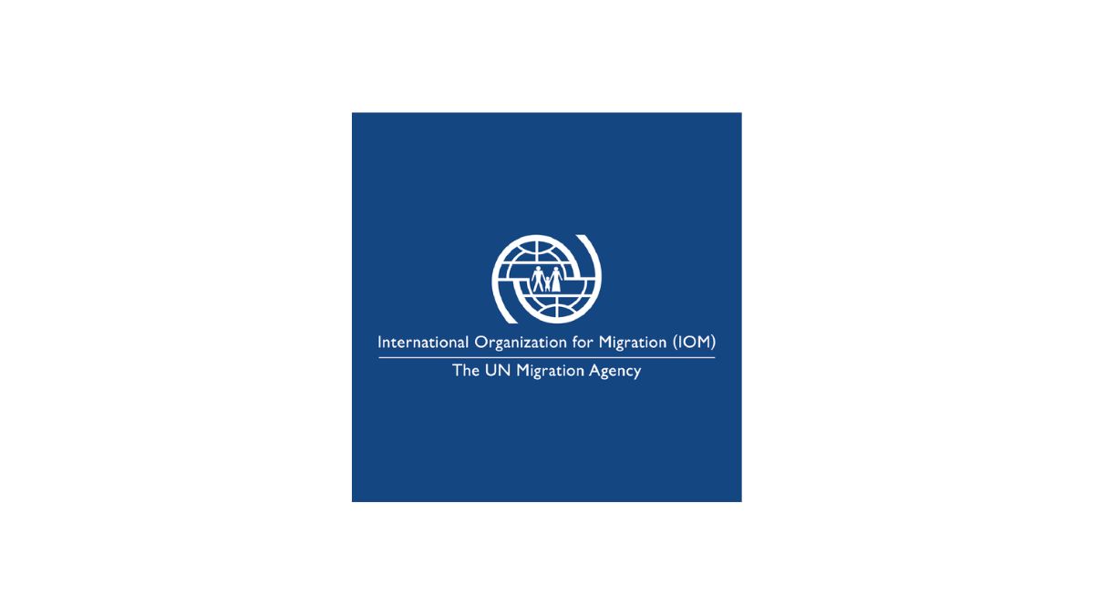 وظائف UN في لبنان - Field Security Assistant - محمد علي